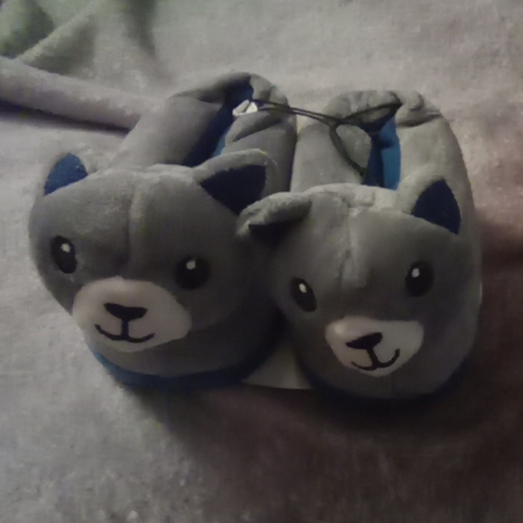 zac & evan | Shoes | Coyote Slippers | Poshmark